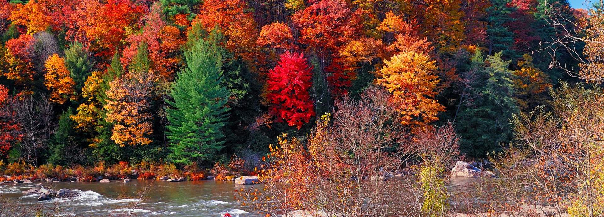 Ferncliff Peninsula - Great Allegheny Passage
