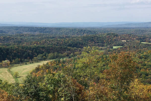 Green Ridge State Forest - Great Allegheny Passage
