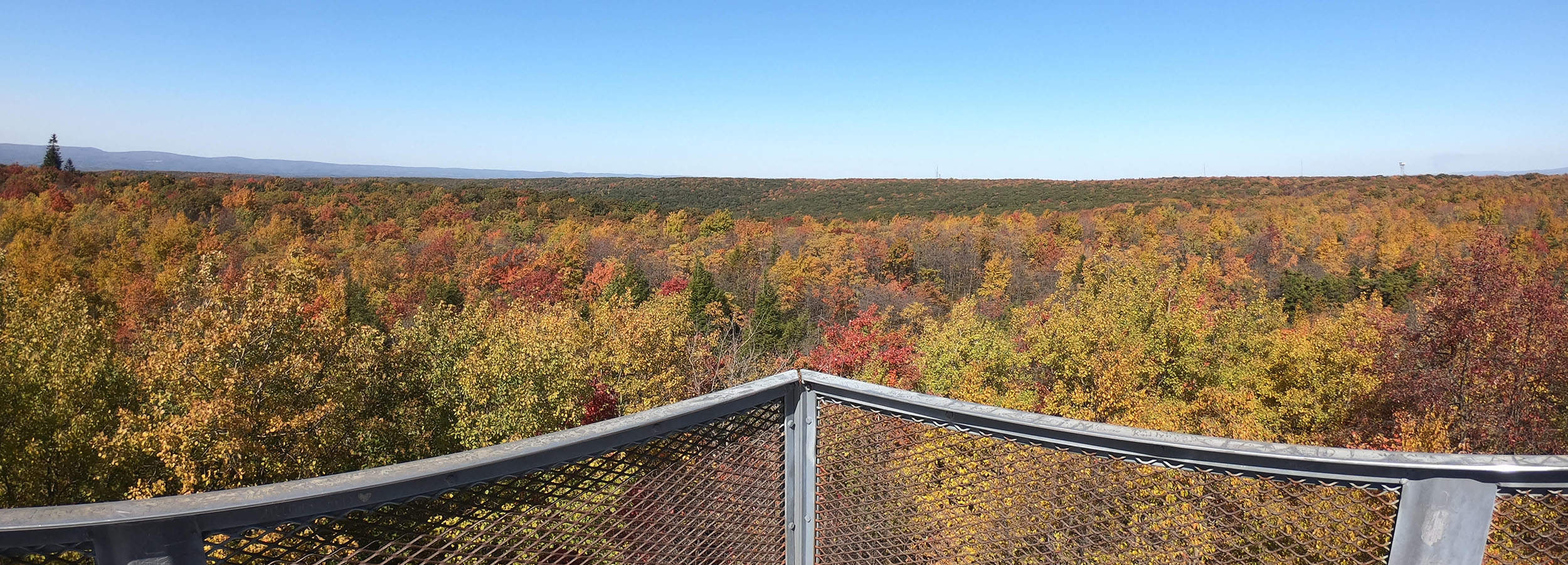 Mt. Davis - Great Allegheny Passage