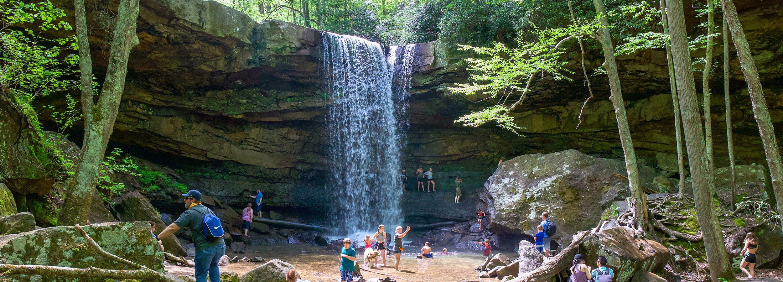 Cucumber Falls - Great Allegheny Passage