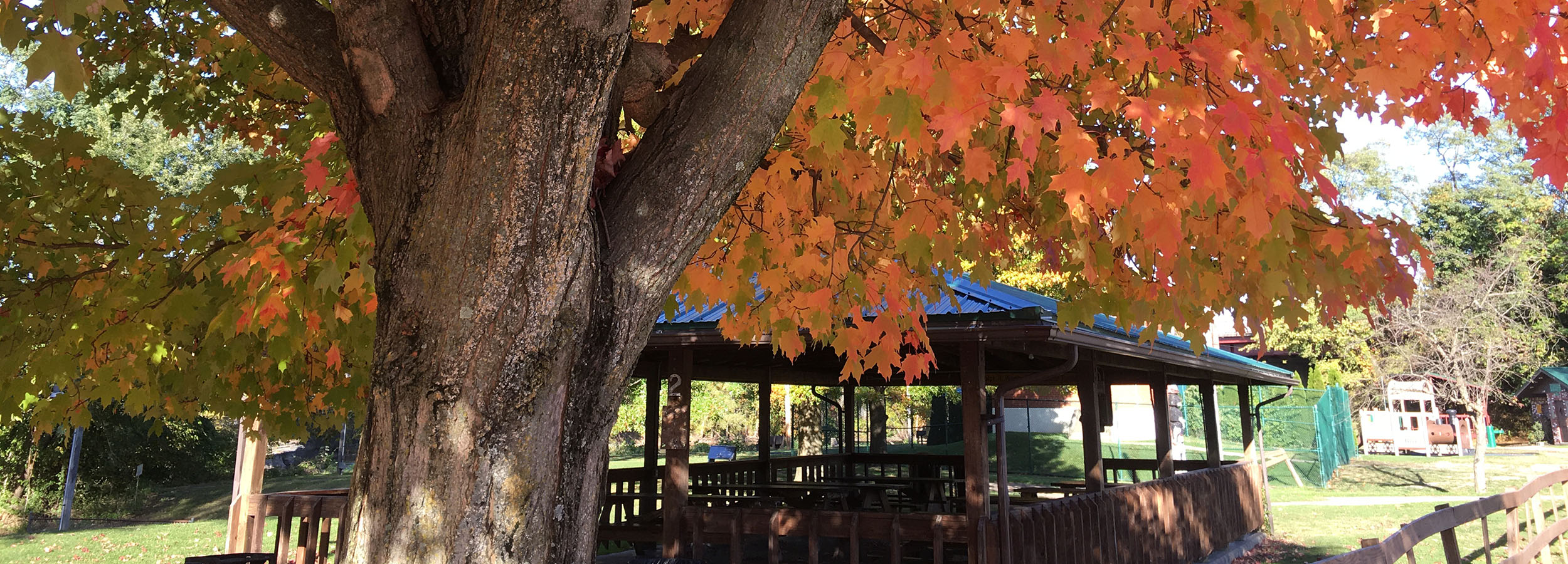 Yough River Park - Great Allegheny Passage