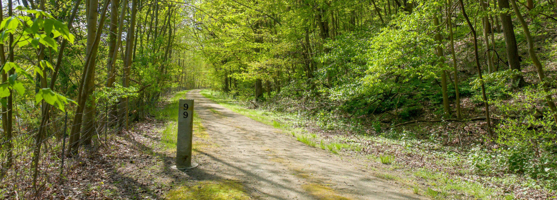 Hiking - Great Allegheny Passage