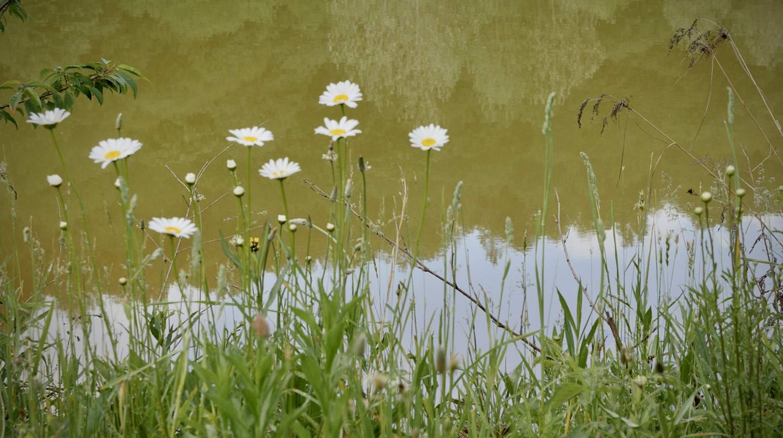 Profile: Eric Harder - Great Allegheny Passage